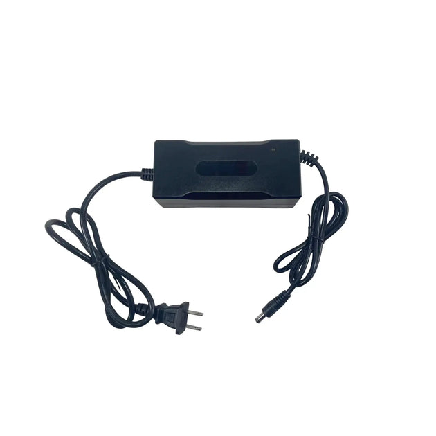 12V 10A Li-ion LFP Battery Charger - Aegis Battery Lithium ion | Aegis ...